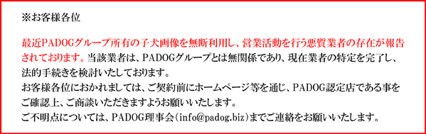 padog | 大型犬専門ドッグサーチ